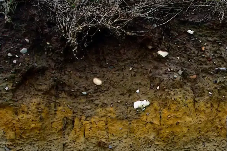 How to Measure Ground Resistance With a Multimeter? - ElectronicsHacks