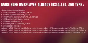 How to Use OMXPlayer on Raspberry Pi? - ElectronicsHacks
