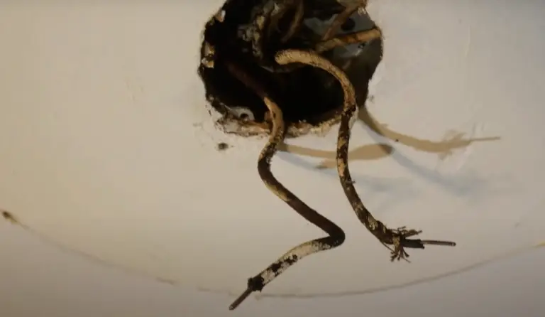 How to Identify Hot and Neutral Wire on Lamp Cord? - ElectronicsHacks