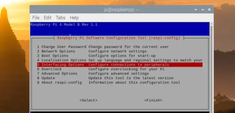 Raspberry Pi Remote Device Management Guide - ElectronicsHacks