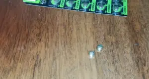 LR41 vs. LR44 Batteries: What is the Difference? - ElectronicsHacks