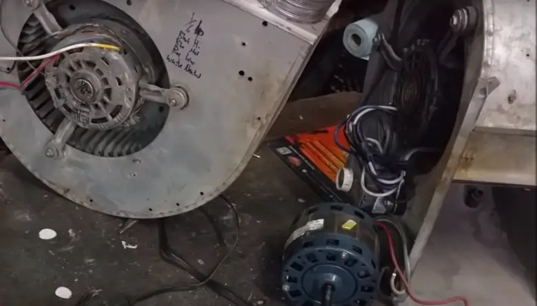 How to Wire a Squirrel Cage Fan? - ElectronicsHacks