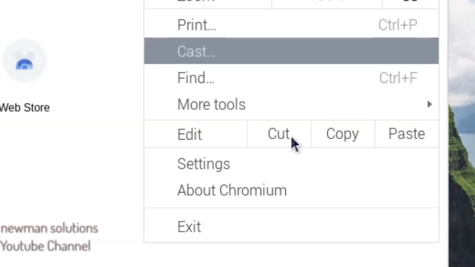 How to Install Chromium on Raspberry Pi? - ElectronicsHacks