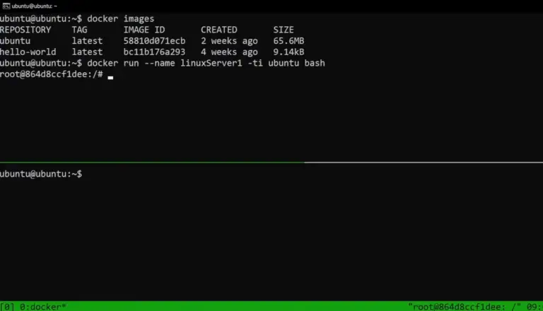 How to Install Docker on the Raspberry Pi? - ElectronicsHacks