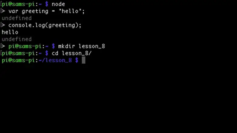 How to Install NodeJS on the Raspberry Pi? - ElectronicsHacks